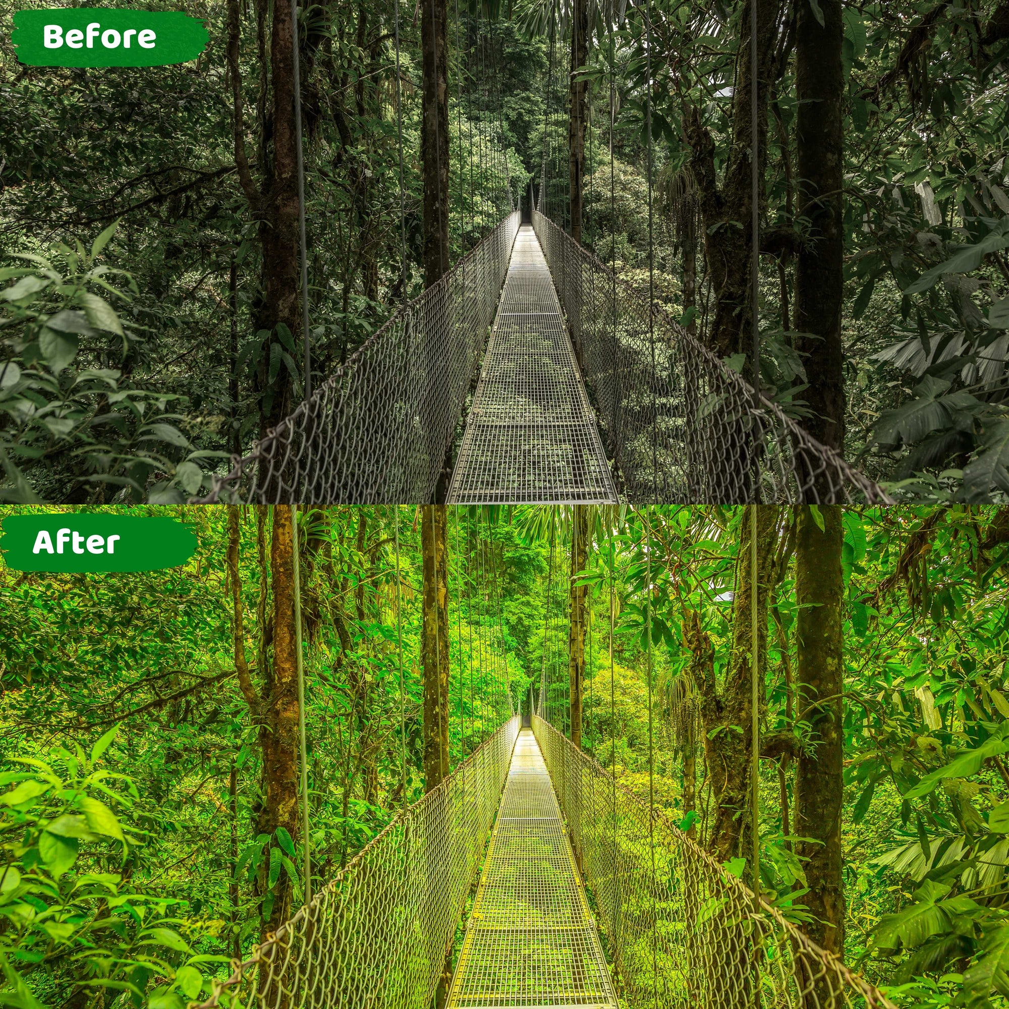 20 Nature Lightroom Presets | Landscape Instagram Filters - Eyegusto ...